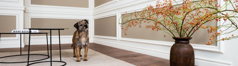 Great Value Dado & Panel Rails that tick all the boxes